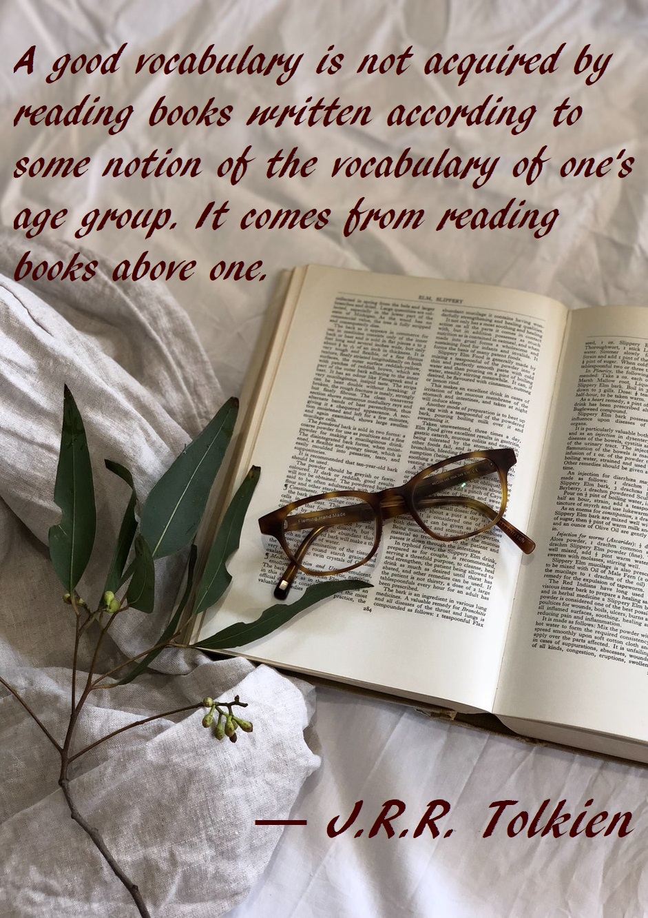 Reading And Vocabulary Quotes